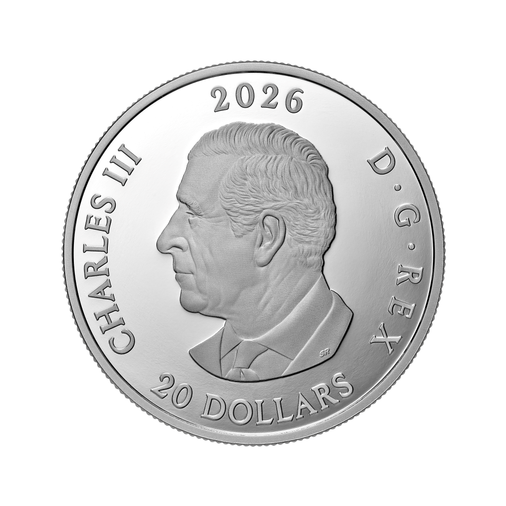 2026 $20 Kluane National Park and Reserve Fine Silver Coin - Aussie ...